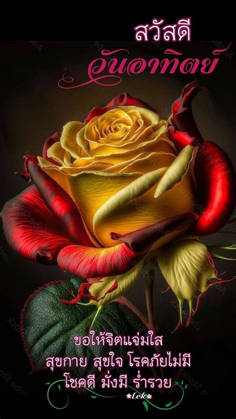 สวัสดี วัน อาทิตย์ สุขสันต์วันเกิดเพื่อน วันอาทิตย์ อวยพรวันเกิด