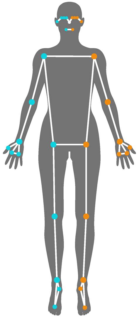 Feasibility Of 3d Body Tracking From Monocular 2d Video Feeds In Musculoskeletal Telerehabilitation