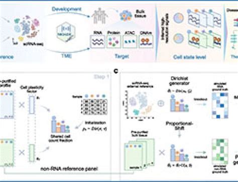 Mapit Seq Co Profiling Of In Situ Rna Protein Interactions And