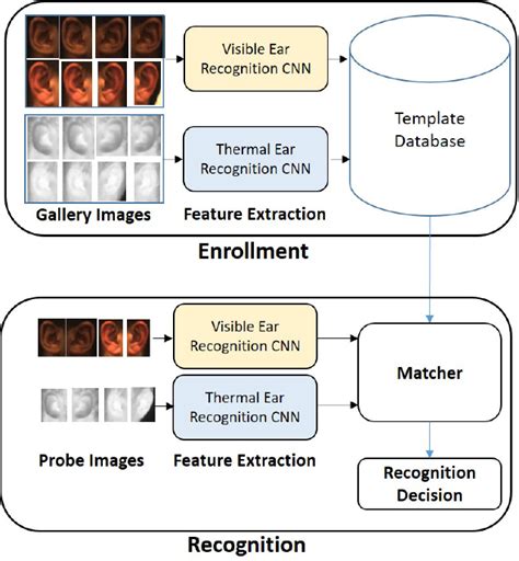 Figure 1 From Exploring Deep Learning Ear Recognition In Thermal Images