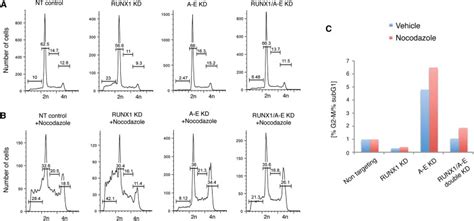 Opposing Effects Of A E And Runx1 On Sac Signaling In Kasumi 1 Cells