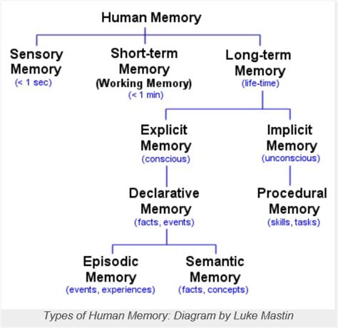 Understanding Memory Aasgaa