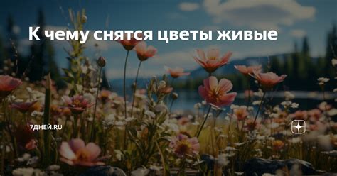 К чему снятся цветы живые 7Дней Ru Дзен