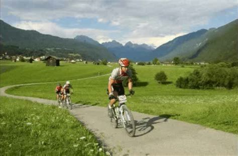 Seam Carving Using Dynamic Programming To Implement Content Aware Image Resizing In Python