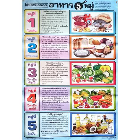 โปสเตอร์ อาหาร 5 หมู่ สีฟ้าอ่อน Shopee Thailand