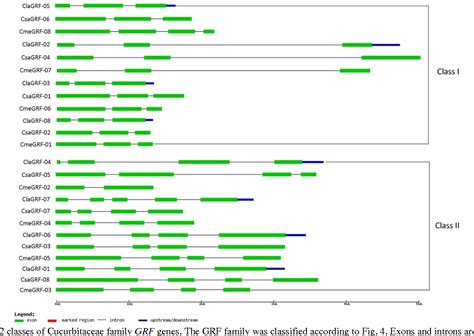 Figure 2 From Genome Wide In Silico Identification And Comparison Of