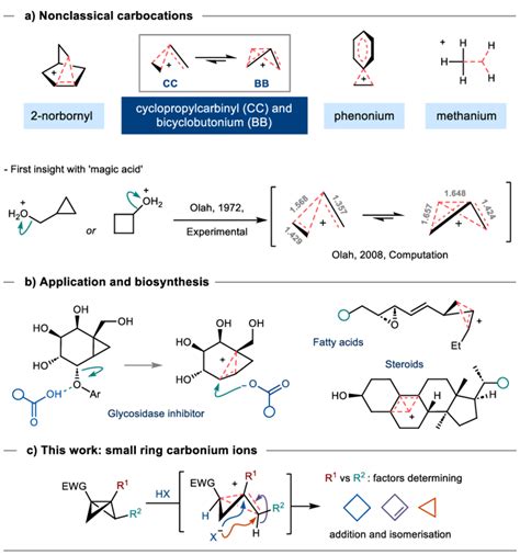 Non Classical Carbocations A Examples Of Non Classical Carbocations Download Scientific