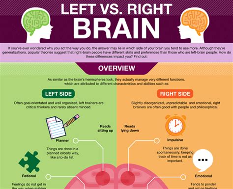 Left Vs Right Brain Psychology Of Color
