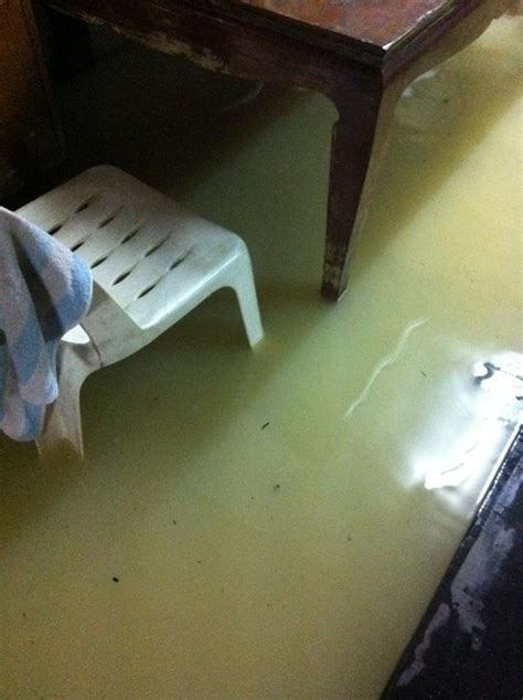 นภาพร ใจเพ็ชร Napaporn Twitter