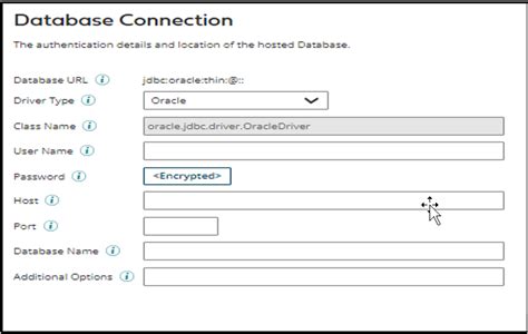 boomi database connection white glove consulting group llc