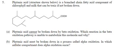 Solved 5 Phytanic Acid Structure Shown Below Is A