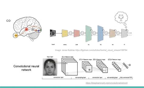 神经科学如何影响人工智能？看deepmind在neurips2020最新《神经科学人工智能》报告，126页ppt csdn博客