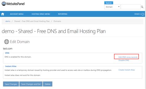 How To Update Dns Records For Domain By Websitepanel
