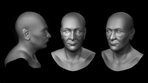 Artstation Siyu Wang