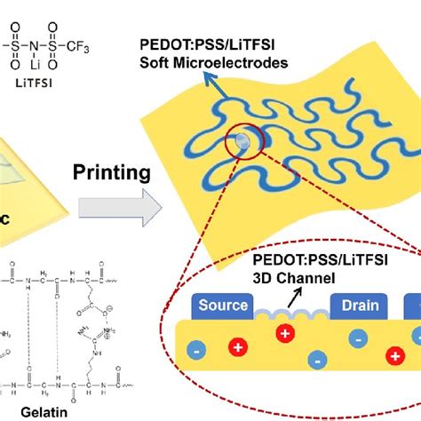 A Schematic Diagram Of Substrate Free All Polymer Organic Download
