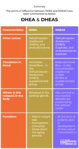 Difference Between DHEA And DHEAS Difference Between DHEA Vs DHEAS