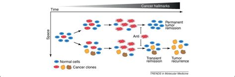 Cancer Research A Field On The Verge Of A Paradigm Shift Trends In Molecular Medicine