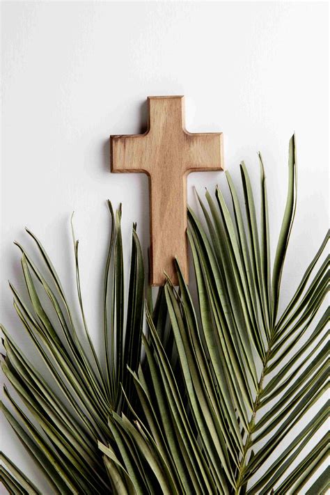 Domingo De Ramos ¿qué Hizo Jesús Y Qué Significa Este Día
