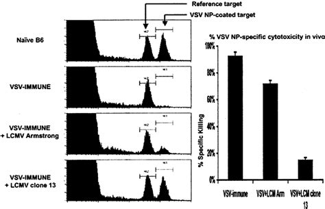 Loss Of Functional Memory After Memory T Cell Attrition Functional Cd8