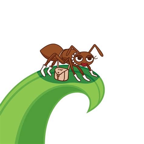 Cj Corki Can You Find Did You Know