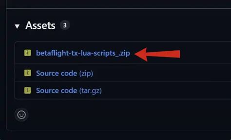 Betaflight In Your Remote Controller