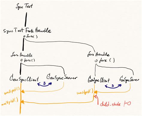 SyncTest Socket Reuse Bug Issue 48 Trachten Cpisync GitHub