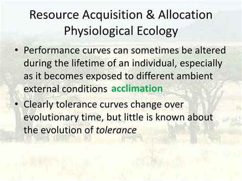 Ppt Resource Acquisition And Allocation Optimal Foraging Theory