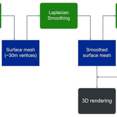 Curvature Analysis Flowchart Processing Flowchart For The Curvature Download Scientific