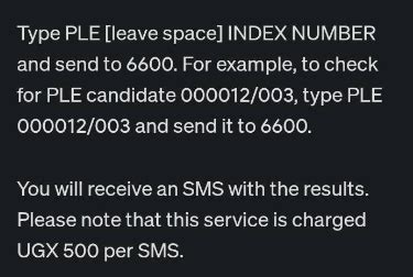 UNEB Ple Results Check Results Here Magaribeipoa