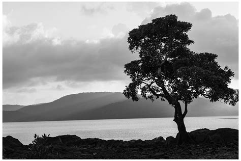 Nikon Z 50 Camera Review Verdict Ephotozine