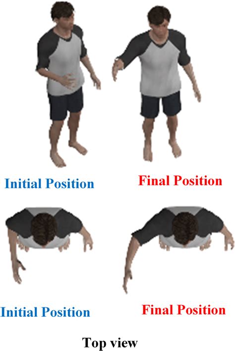 Schematic Of Diagonal Reaching Movement Download Scientific Diagram