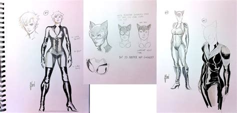 Catwoman Uniform Prime Earth Cass Cain Mainframe Wiki Fandom
