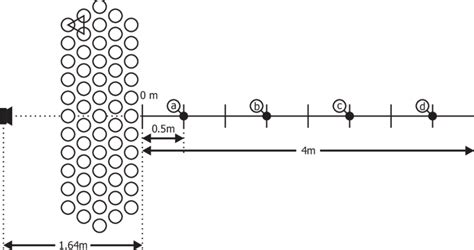 Schematic Representation Of The Experimental Configuration Used For