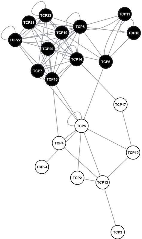Results Of The Matrix Based Yeast Two Hybrid Analysis Of Tcp Tcp Download Scientific Diagram