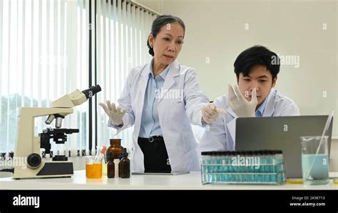 Professional Scientists Using Laptop Computer Collecting Data And Summarising Information For