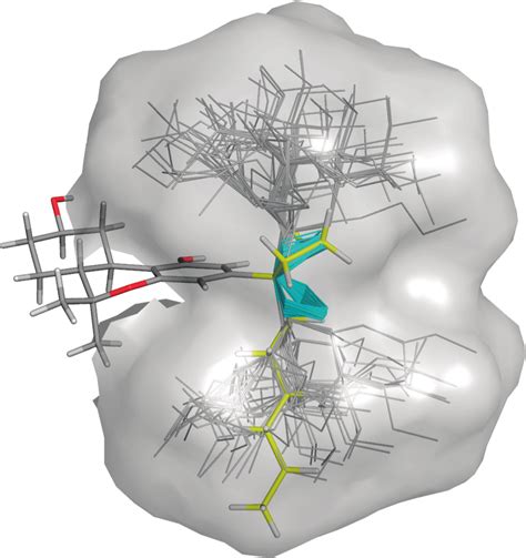 Accessible Conformational Space For The C1 0 Cyclobutylheptyl Download Scientific Diagram
