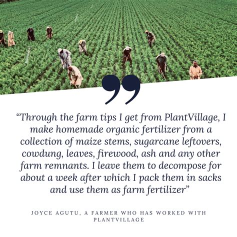 Mboni Ya Vijana To Introduce Biochar Use And Clean Seed Farms Mboni Ya Vijana