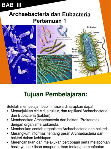 Bab 3 Archaebacteria Dan Eubacteria Pdf Bab 3 Archaebacteria Dan Eubacteria Pdf