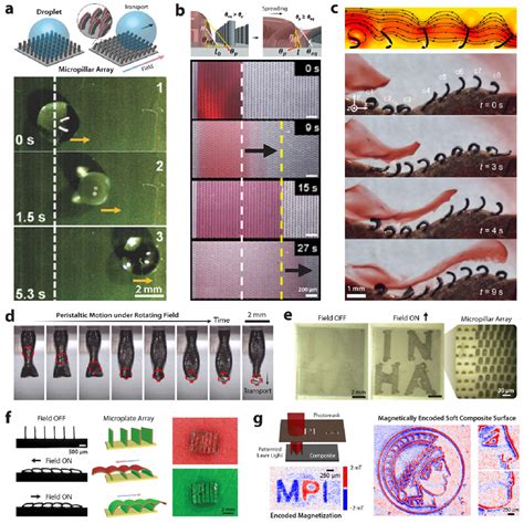 Magnetic Soft Materials And Robots Pmc