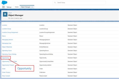 Add Values To Opportunity Stage Picklist In Salesforce