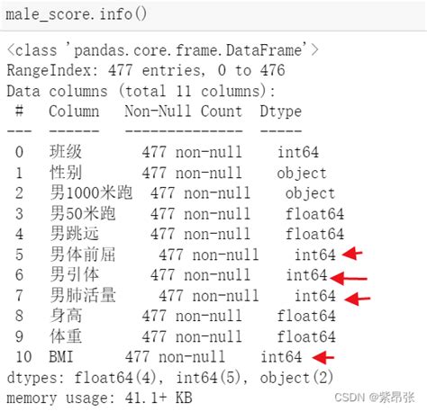 Python数据分析用astype 更改数据类型 python astype 数值变化 CSDN博客