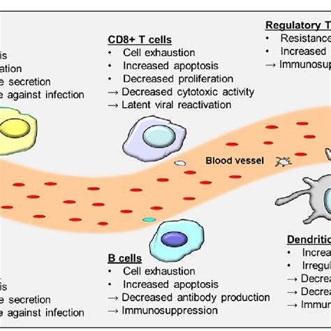 Adaptive Immune Cell Function Is Dysregulated In Sepsis Download
