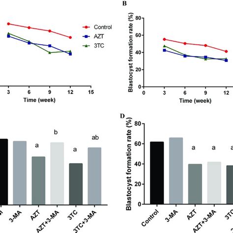 Oocyte Cleavage Rate And Blastocyst Formation Rate In Different Download Scientific Diagram