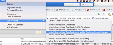 Charls 抓包charles都是 Connect Csdn博客