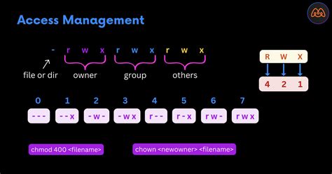 linux access management simplified with mentorbaba academy mentorbaba