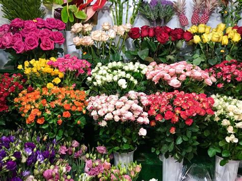 Different Varieties Fresh Spring Flowers In Refrigerator For Flowers
