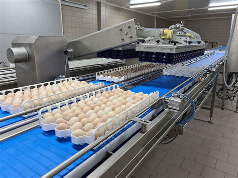 Hatchery Automation Kromeka