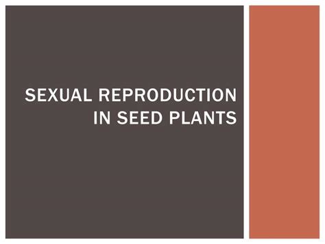 PPT Sexual Reproduction In Seed Plants PowerPoint Presentation Free Download ID