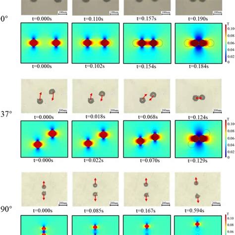 The State Of Motion Of Magnetic Particles Under Simulation And Download Scientific Diagram
