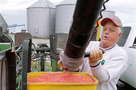 Study Monsanto GMO Food Claims Probably False Salon